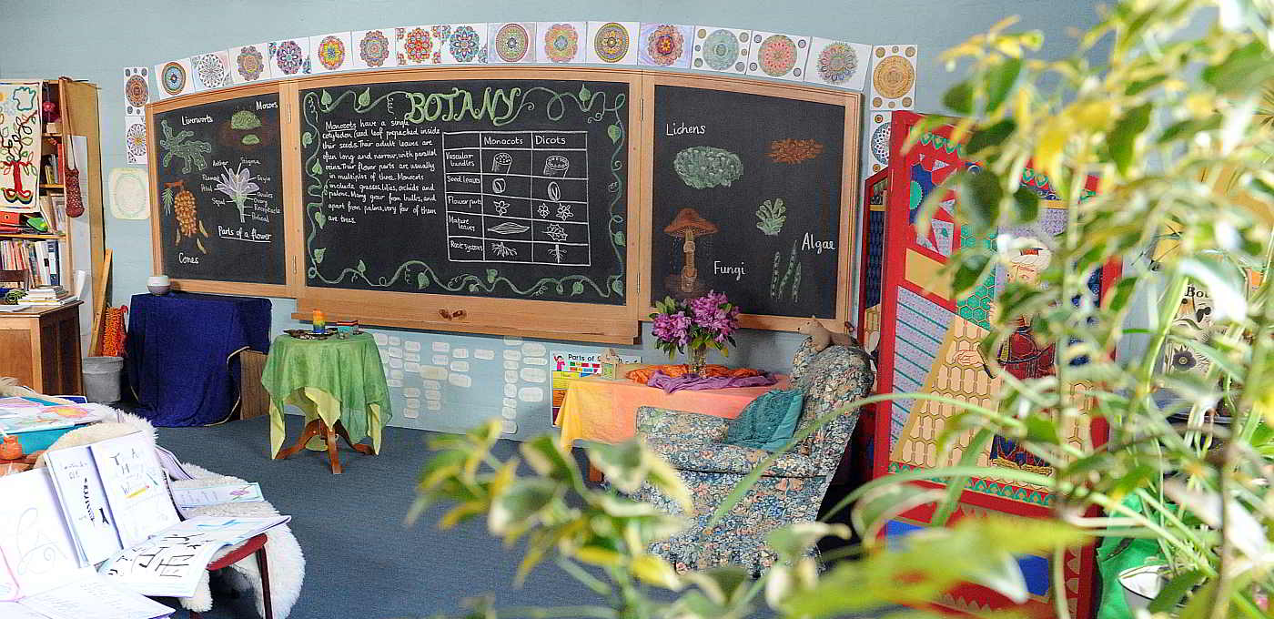 Curriculum Background